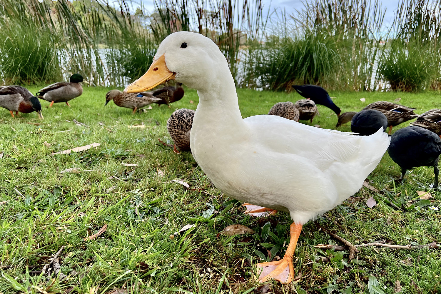 Photography Services | Janet Stowell