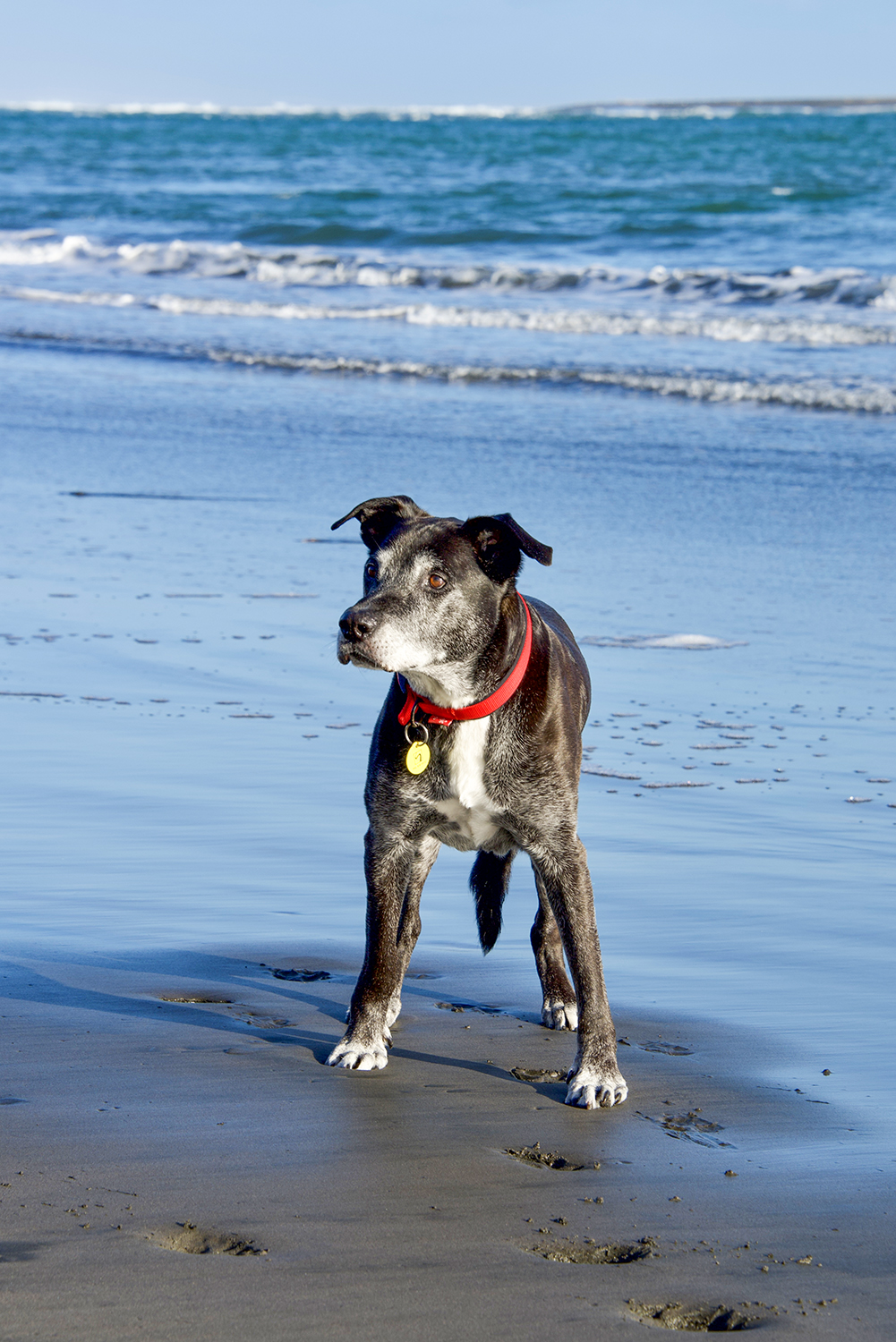 Photography Services | Janet Stowell